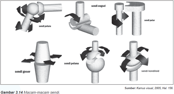 Ala Pelajar: Materi dan Latihan Sistem Gerak Kelas XI